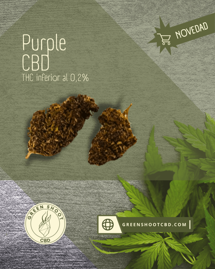 FLORES PURPLE CBD - Green Shoot CBD